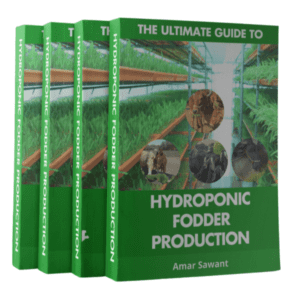 The Ultimate Guide to Hydroponic Fodder Production - School Agriculture ...